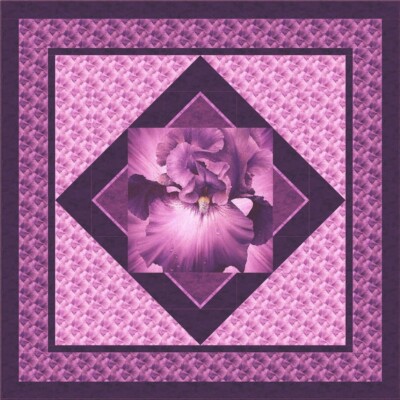 Quilt Kit - Show Off - 110" X 110" Large Iris Panel King Quilt ...