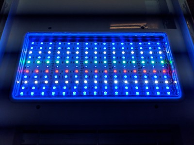 JBJ Cubey 20 gallon - Full spectrum 60W LED retrofit upgrade reef ...