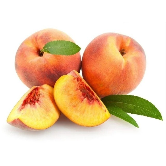 5 Peach Tree Seeds Dwarf Loring NEMAGUARD (Prunus persica) Fast Hardy ...