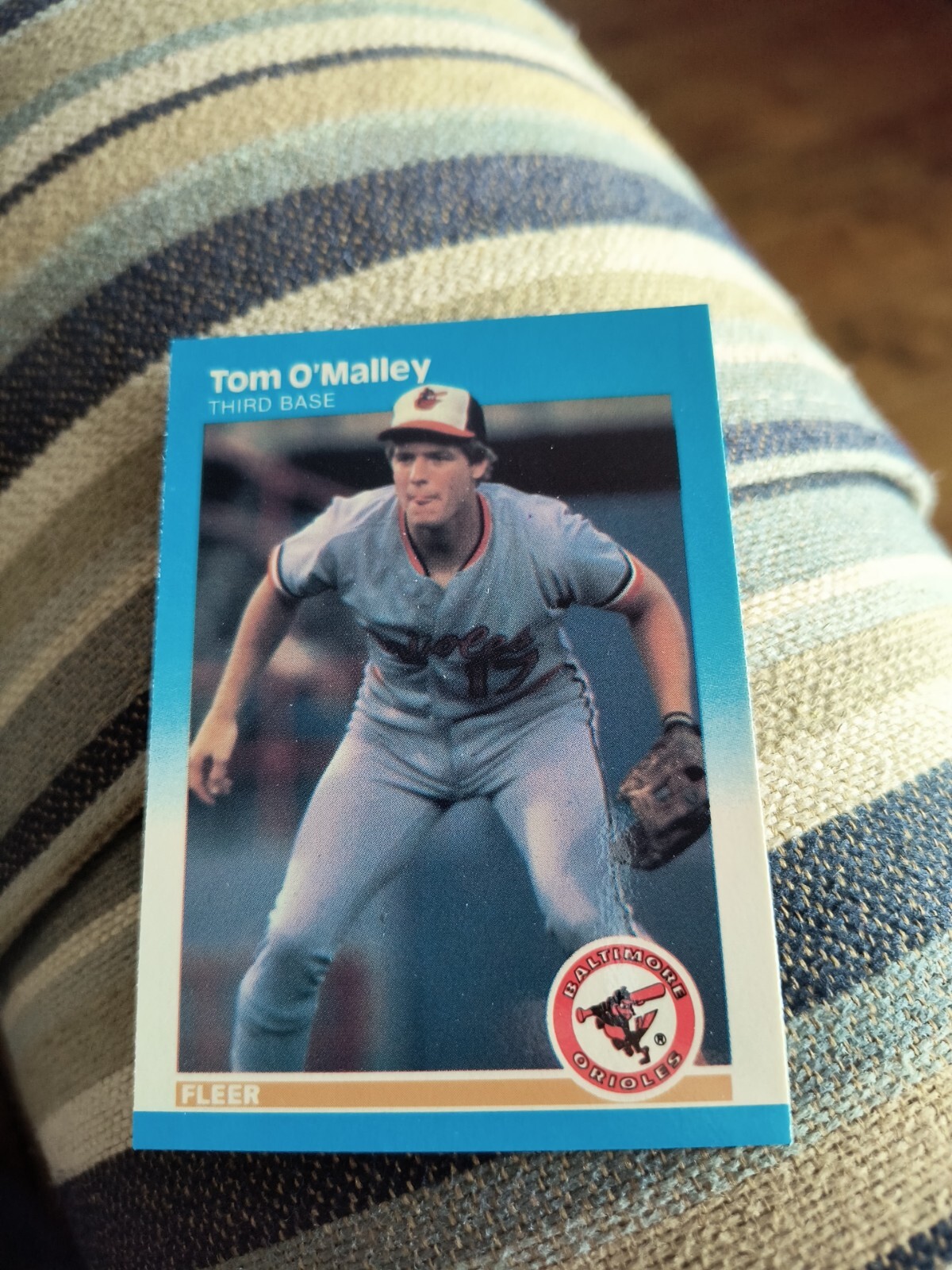 TOM O'MALLEY 1987 FLEER GLOSSY #477 FREE SHIPPING | eBay
