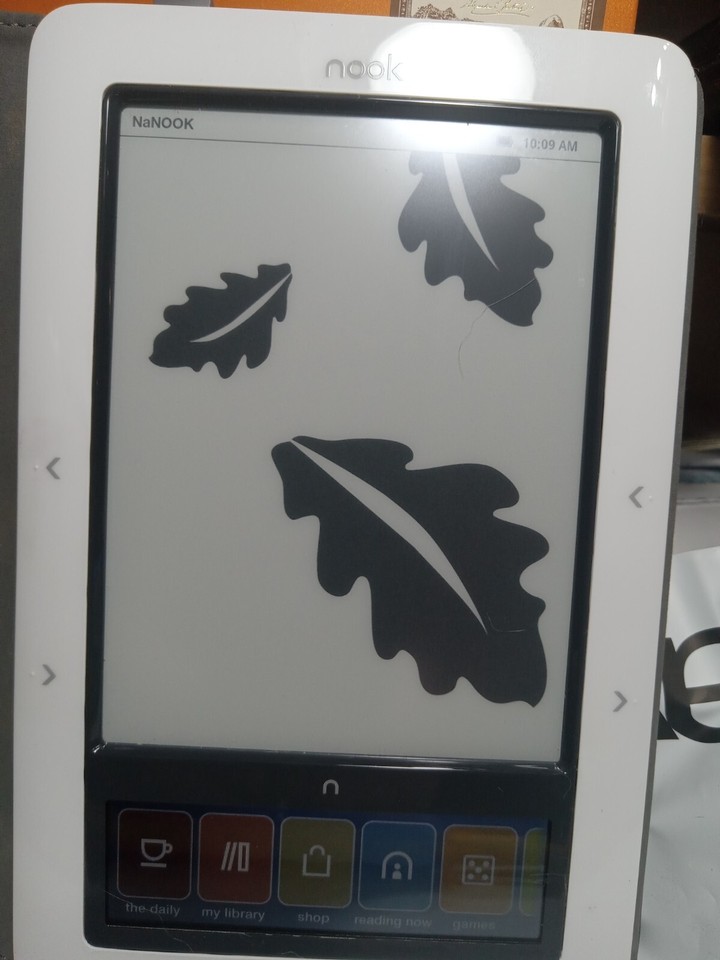 Barnes & Nobel Nook First Edition E-reader BNRZ100 WHITE/GREY | eBay