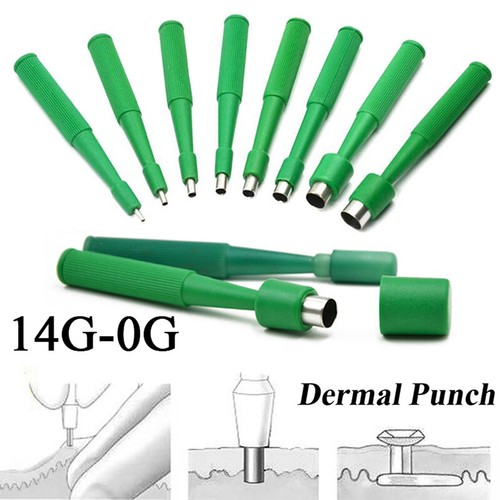 Biopsy Dermal Puncher For Skin Tool Sterilized Dermal Anchor Punch Tool ...
