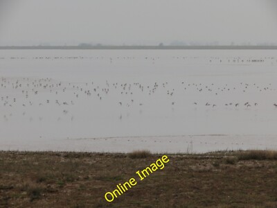 Photo 6x4 Waders feeding Great Yarmouth Dunlins, redshanks, ringed ...