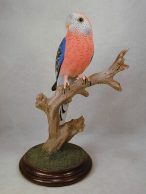 Bourke's Parakeet Original Wood Carving | eBay