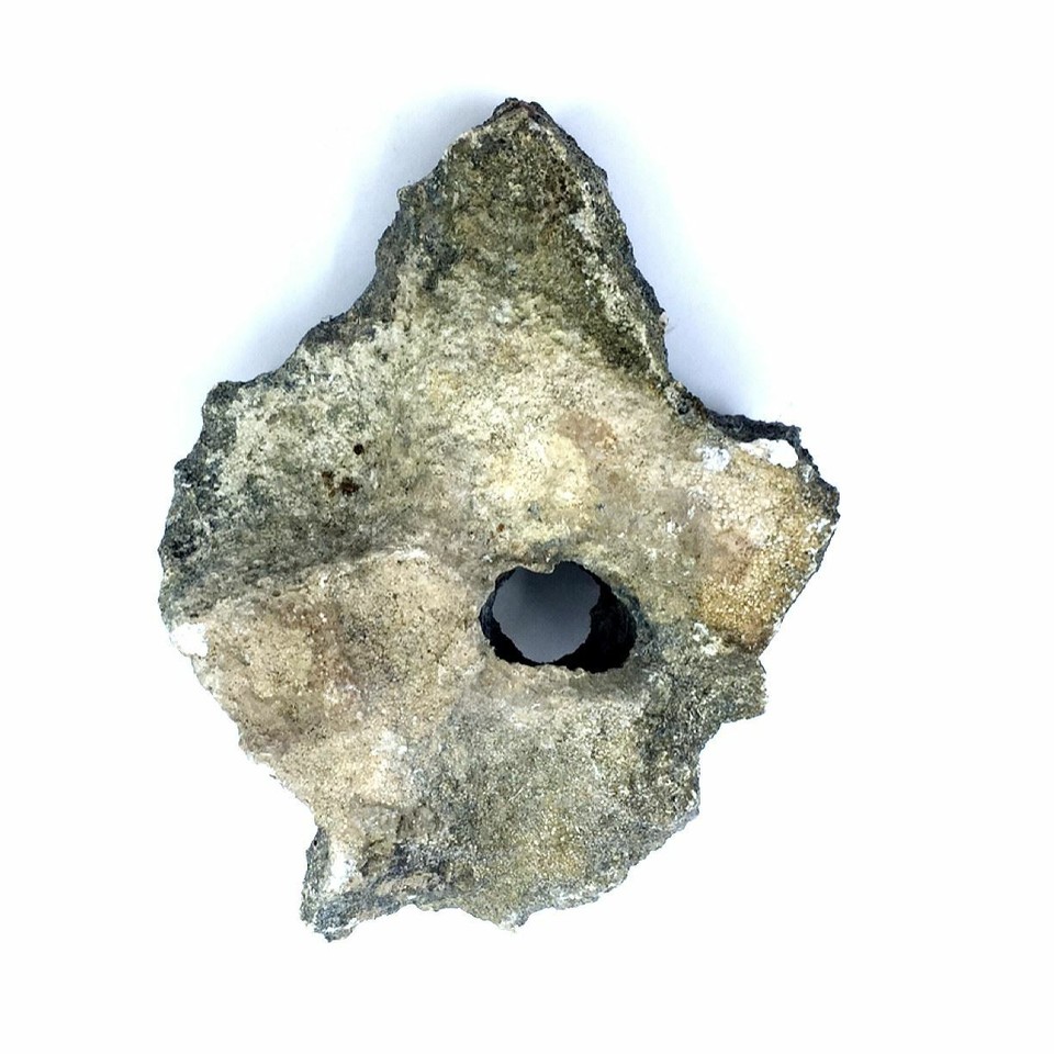 Large Key West Limestone Hag Stone 4.75" | eBay