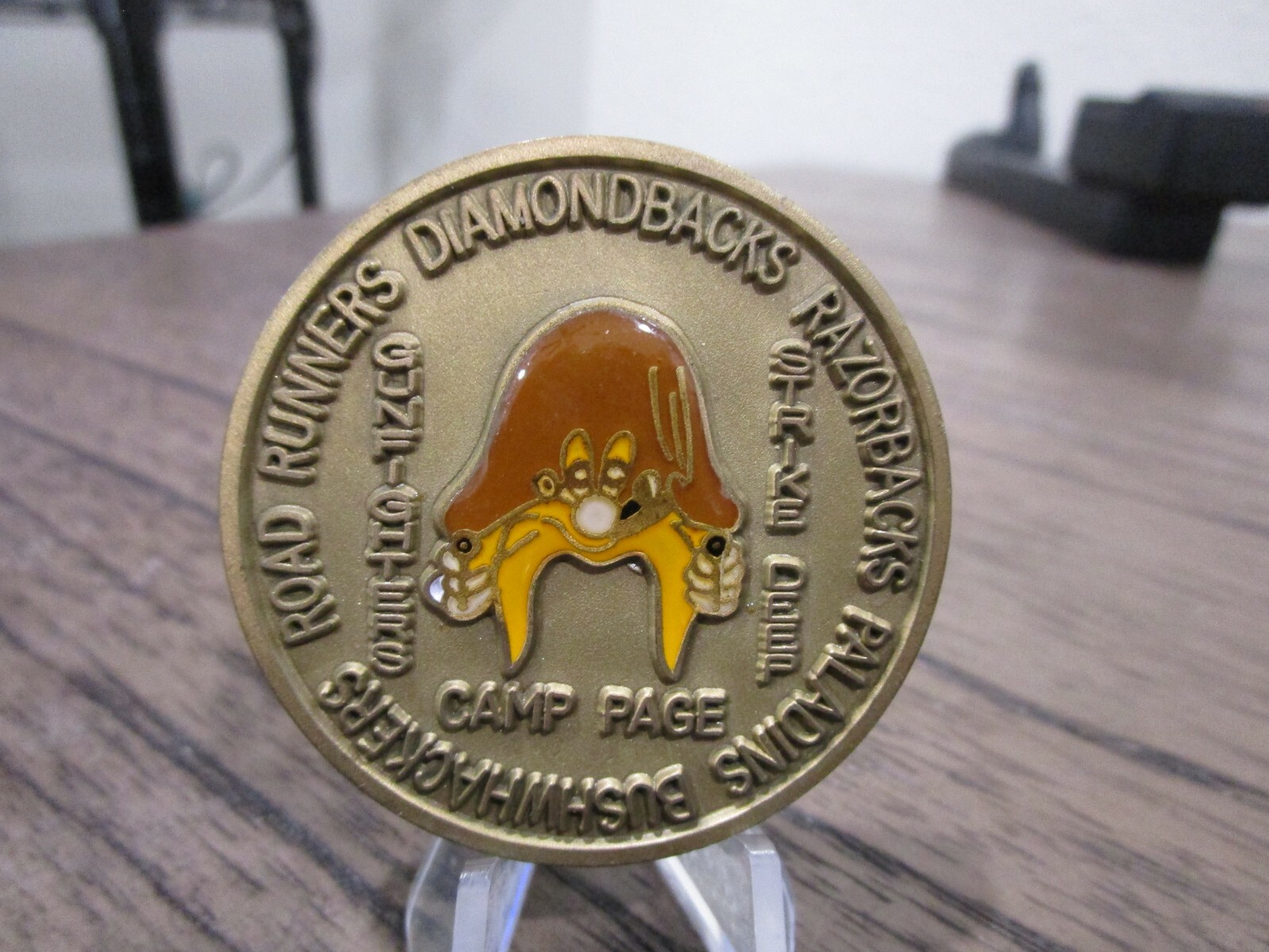 US Army 1st Battalion 2nd Aviation Regiment Camp Page CSM Challenge ...