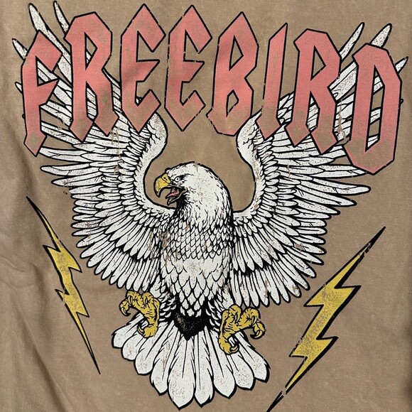 Freebird Eagle Graphic Taupe Mineral T-Shirt Tee Shirt Mini Relaxed Fit ...