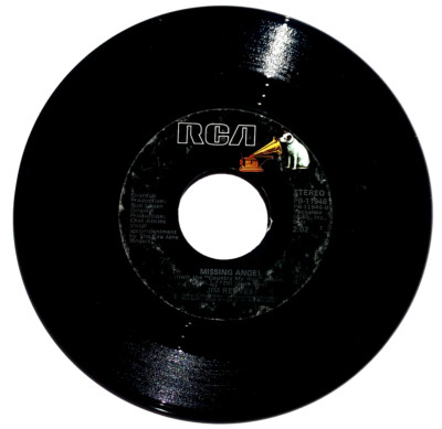 JIM REEVES -Take Me In Your Arms And Hold Me/Missing Angel- Vinyl 45rpm ...