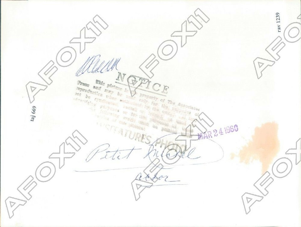 1960 Actor Michel Petit as a Child Press Photo | eBay