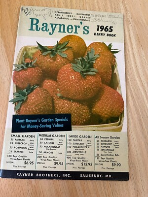 Vintage Rayner s Berry Book 1965 - Strawberries - Booklet | eBay