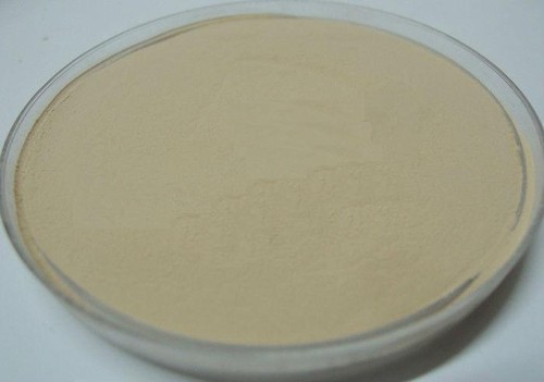 CALCIUM BENTONITE POWDER 1KG BAG Smectite Mineral Clay NATURAL HEALING ...