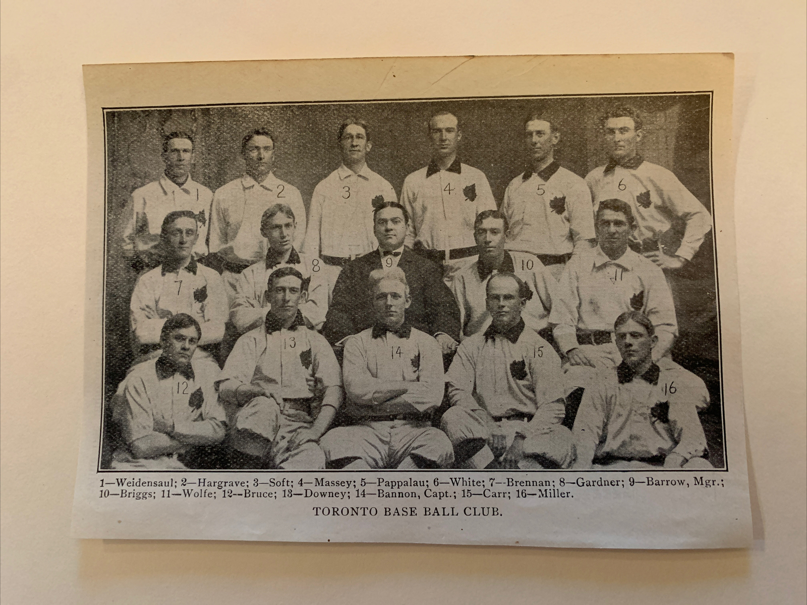 Toronto Maple Leafs Jimmy Bannon Button Briggs 1902 Baseball 5X7 Team ...