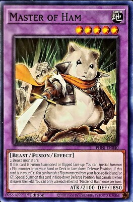 Master of Ham PHNI-EN040 | eBay