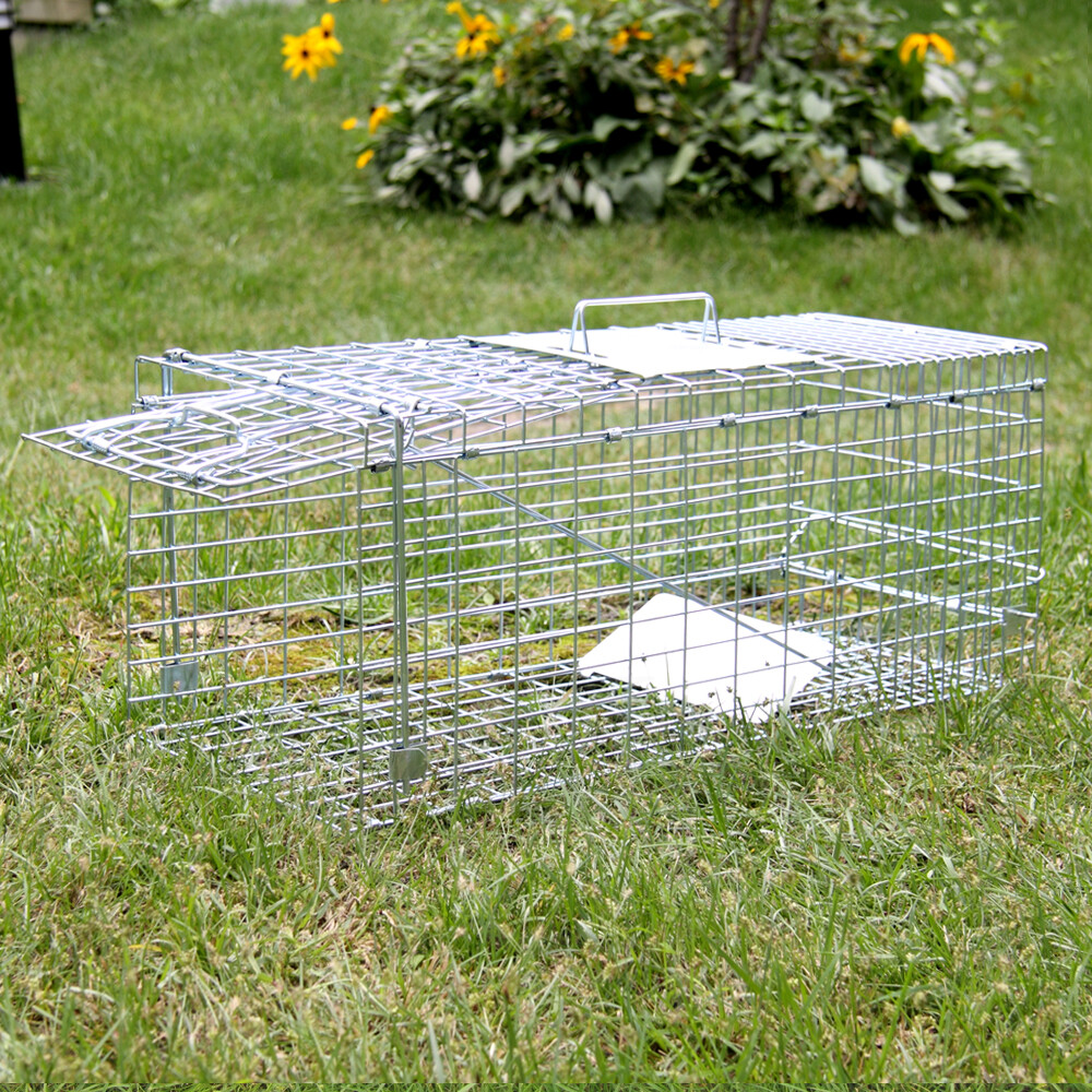 Humane Animal Trap Cage Possum Fox Koala Rabbit Bird Cat Live Catch ...