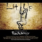 LIT UP: A MILLENNIUM TRIBUTE TO BUCKCHERRY - V/A - CD - RARE | eBay