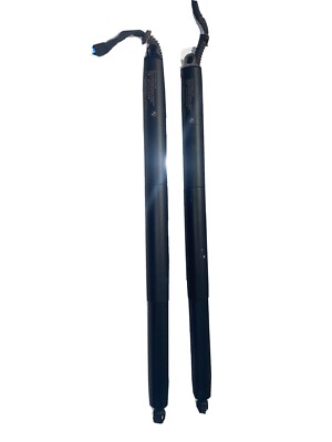 BMW X2 TAILGATE LEFT AND RIGHT POWER LIFT CYLINDER STRUT OEM 2018-2022💠 ...