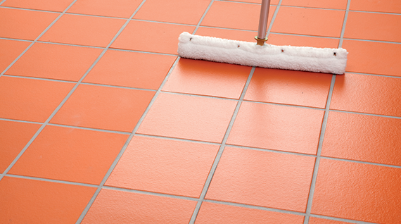 Floor Tiles Polish