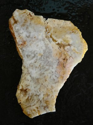 Top Grade • Feather Ridge Plume Agate Slab - 243 Gr. 1553 | eBay