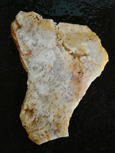 Top Grade • Feather Ridge Plume Agate Slab - 243 Gr. 1553 | eBay