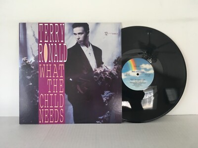 Terry Ronald - What The Child Needs - MCA PROMO (1992) 12" Maxi SINGLE ...