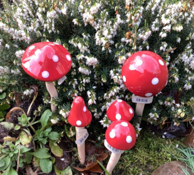 set of 5 mini garden toadstools ceramic mushrooms fairy decoration | eBay