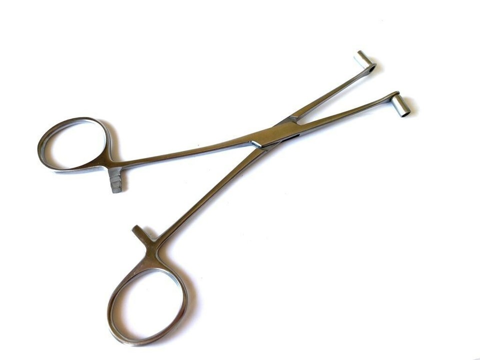 Body Piercing Forcep Septum Nose 14g Horse Shoe Jewelry 14g Pierce ...