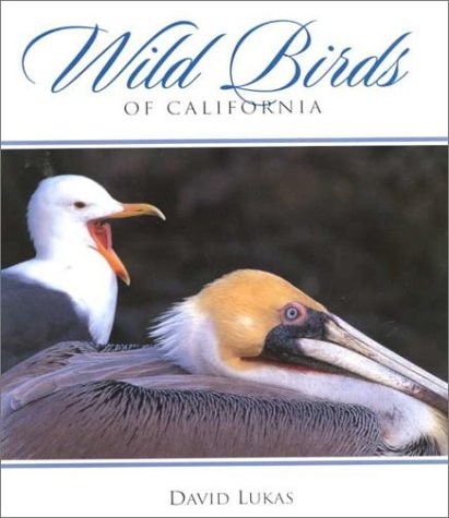 WILD BIRDS OF CALIFORNIA By David Lukas **Mint Condition ...