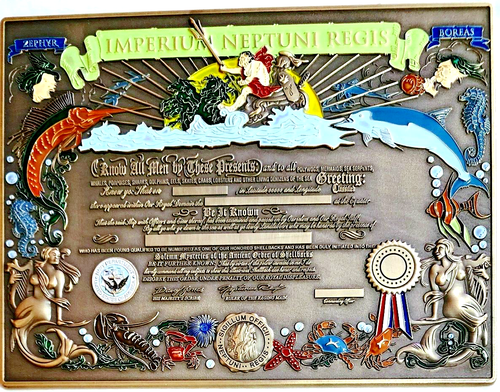 Amazing 6" Navy USN Commemorative Shellback Challenge Coin Metal Plaque ...