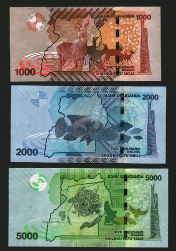 Uganda 2021-2019 Set 3 UNC Banknotes Paper Money Bills 1000-2000-5000 ...