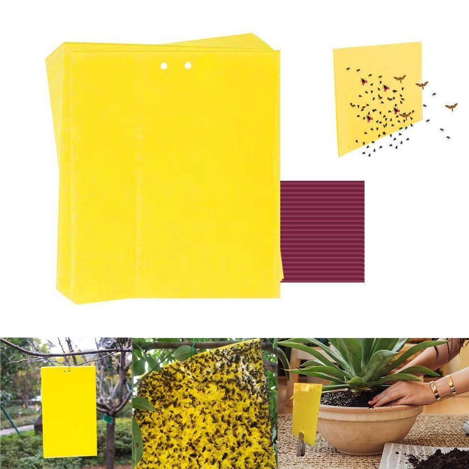 10-200PC Sticky Fly Trap Paper Yellow Traps Fruit Flies Insect Glue ...