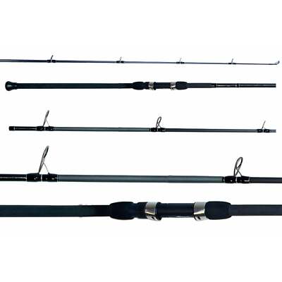 Fishing - Surf Rod