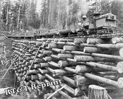 Photograph Crib Trestle Bridge - Columbia & Nehalem Valley Railroad ...