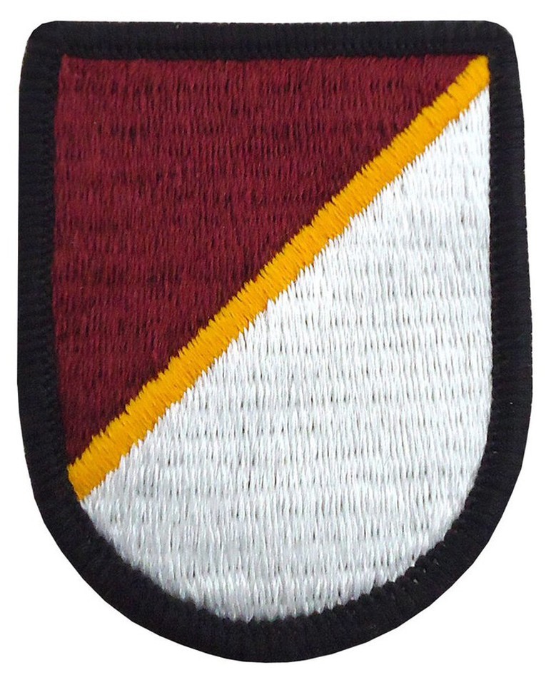 Lot of 25 Army Unit Insignia Multicolor Beret Flash Patches | eBay