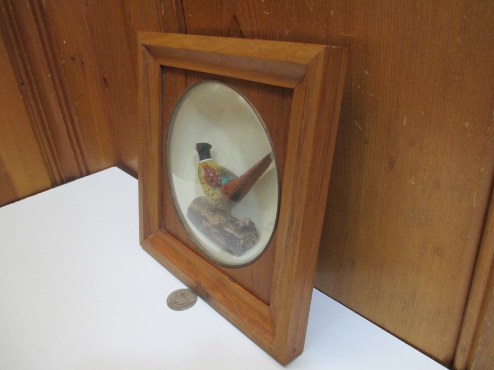 William Reinbold Carved Pheasant Diorama Signed Domed Glass Folk Art ...