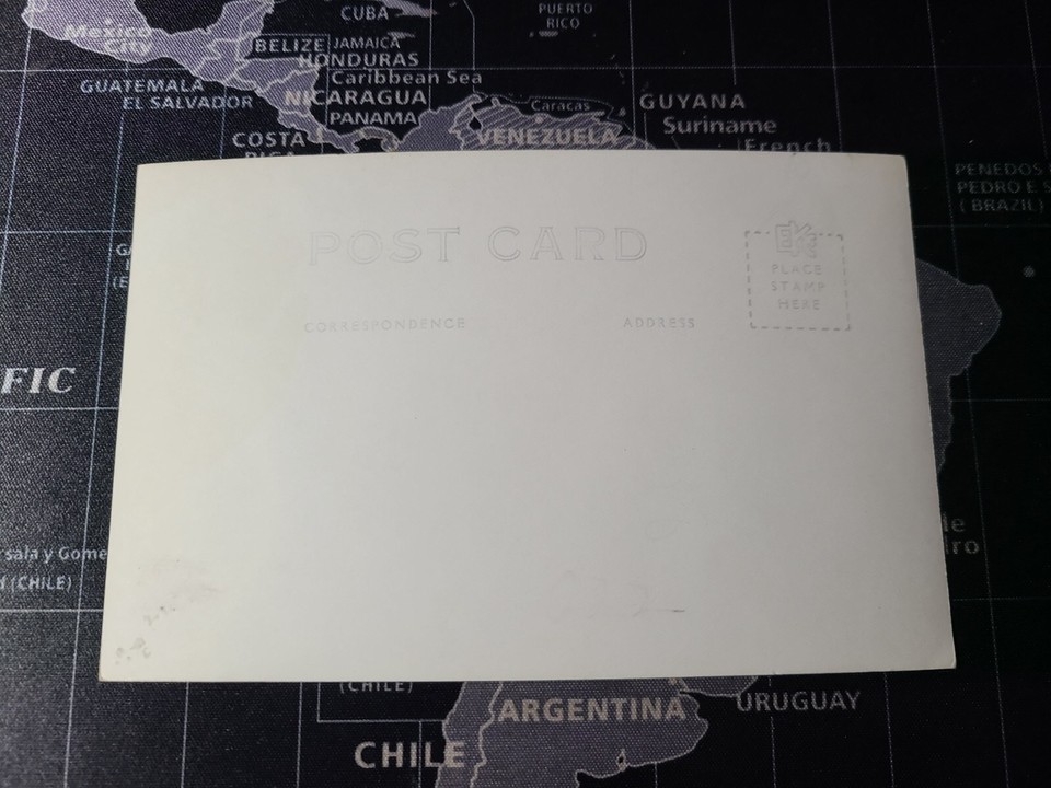 RPPC Hunters Moose Head & Gun Postcard Rare Real Picture Postcard ...