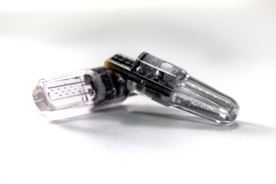 LED Vivid Red Rear Fog Light Bulbs for Audi Q3 Q5 Q7 Fiat 500L Mini ...