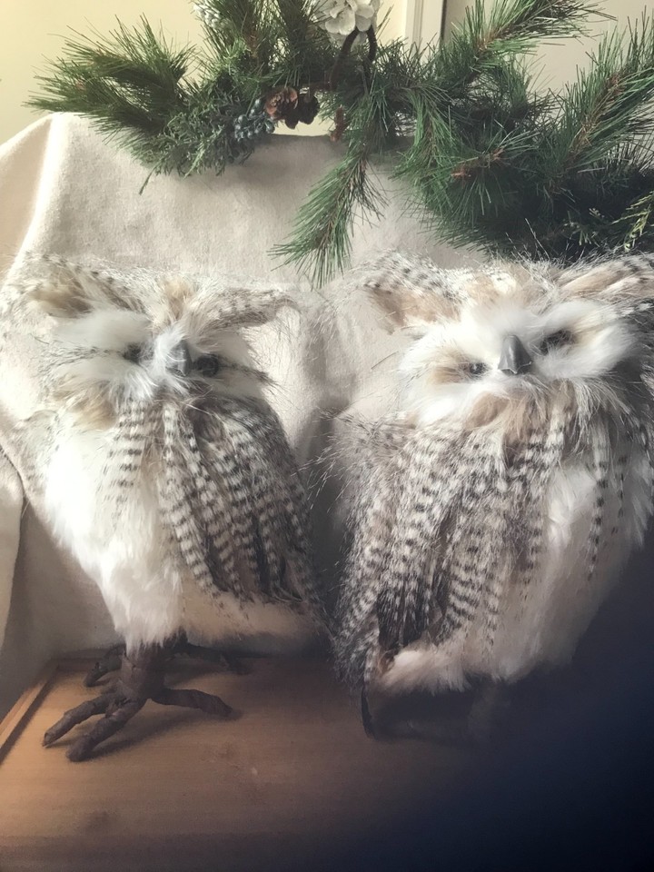 Snowy Long Eared Owls- with Faux Fur Real Feathers 12" Tall . Set of ...