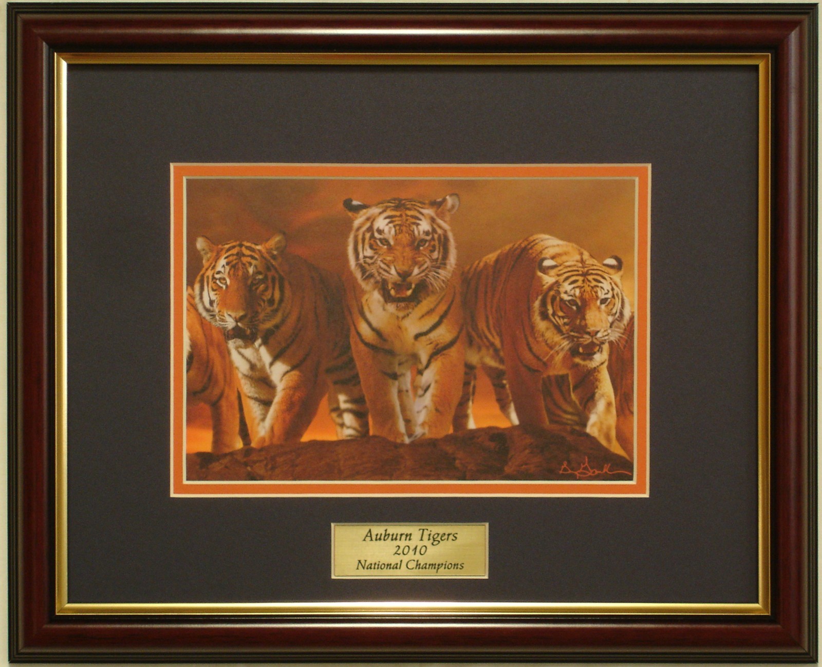 AUBURN TIGERS 2010 National Champions framed print by Greg Gamble | eBay