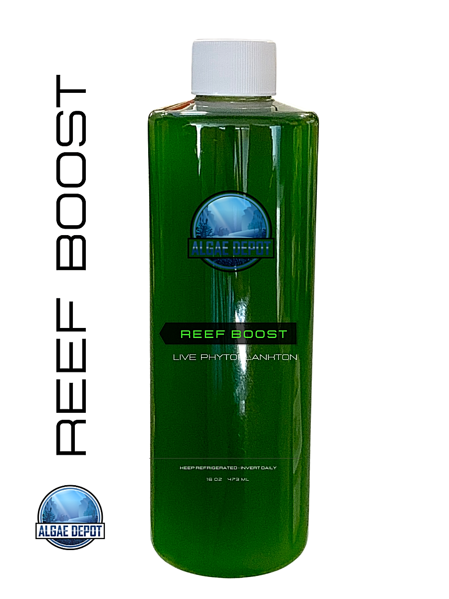 LIVE Phytoplankton - 4 SPECIES - Algae Depot® REEF-BOOST® - (2) 16oz ...