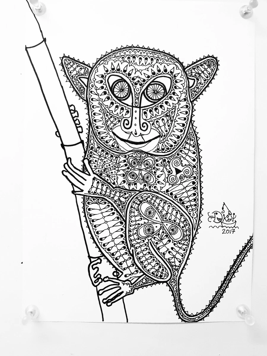 Tarsier Drawing