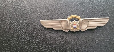 Antique United Airlines Wings Pilot Lapel Pin Airplane | eBay