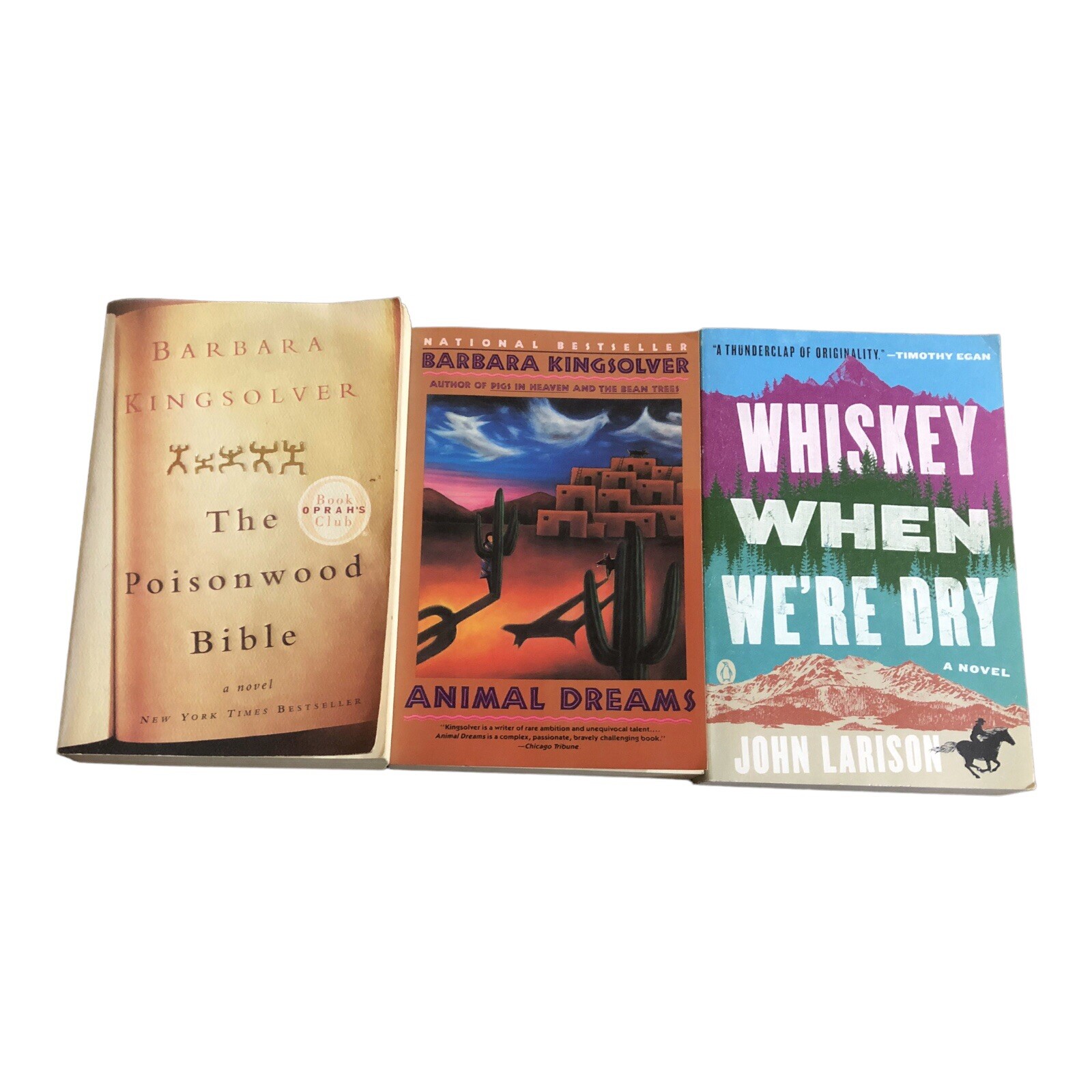 BARBARA KINGSOLVER Poisonwood Bible Animal Dreams JOHN LARISON Lot Of 3 ...