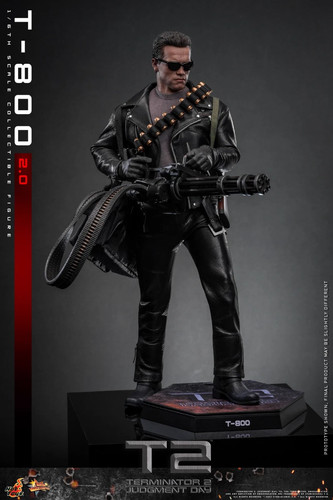 IN HAND New Hot Toys MMS795 Terminator 2 Judgment Day T800 2.0 1/6 ...
