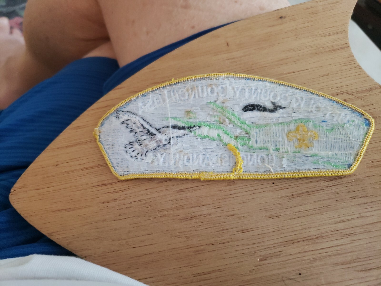 Boy Scout Suffolk County Council Shoulder Patch BSA CSP Long Island NY ...