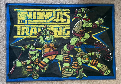 Teenage Mutant Ninja Turtles TMNT Rug - 31x44" - Excellent Condition | eBay