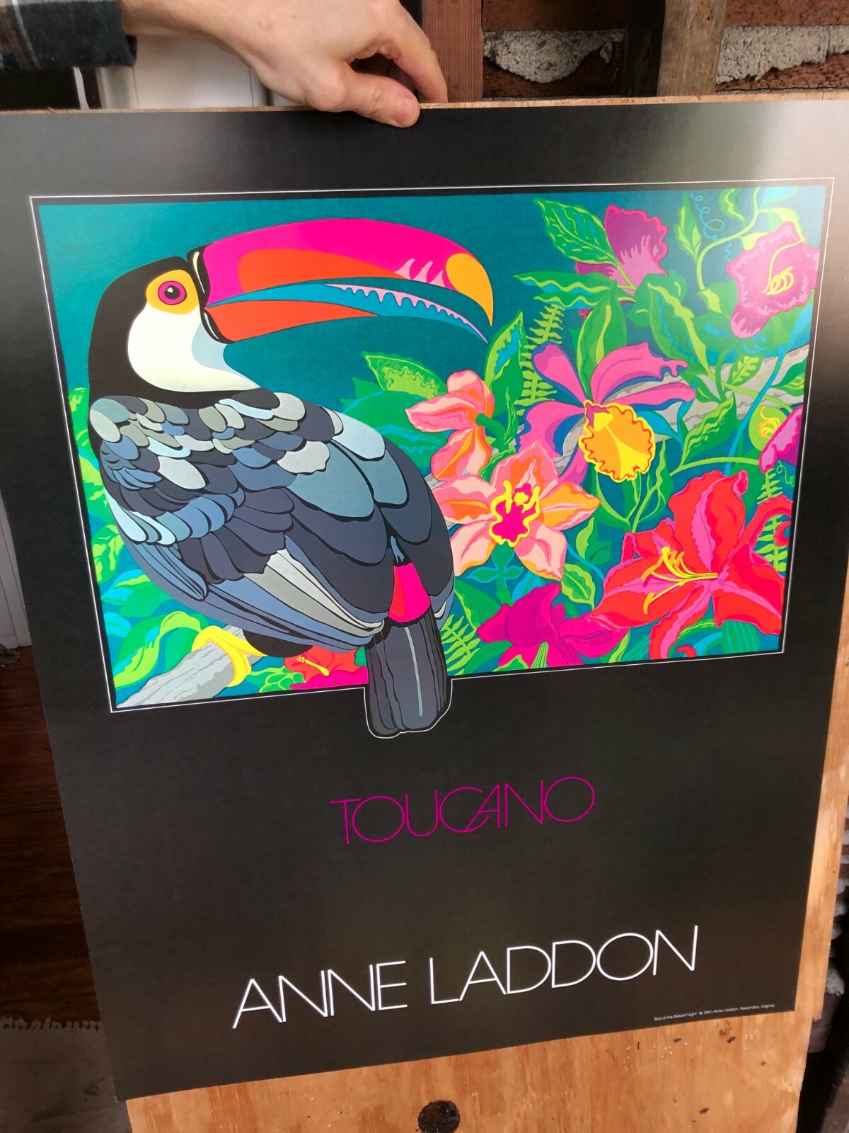 Toucan or Bird of the Brilliant Night by Anne Laddon poster Vintage ...