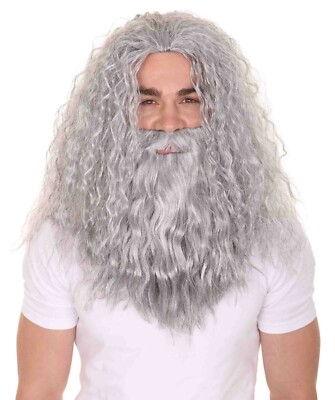Halloween Fantasy Grey Wizard Wig Long Beard Cosplay Costume Fancy ...