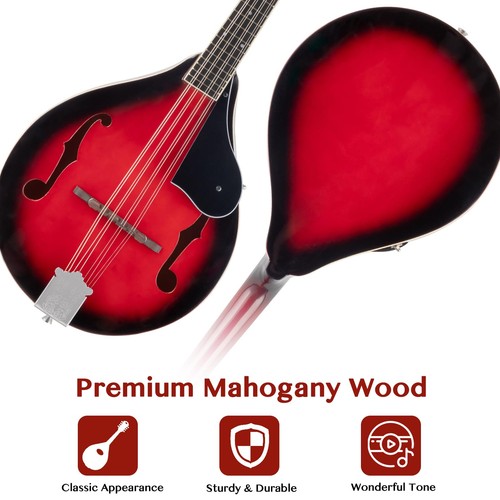 A-Style Mandolin Instrument Kit, 8 Strings Acoustic Mahogany Wood ...