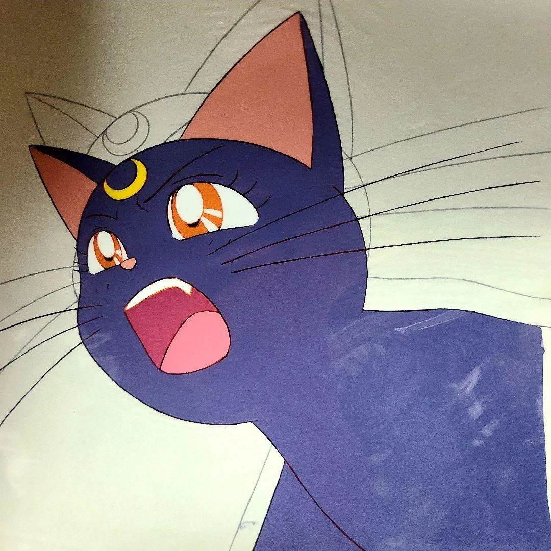 Luna The Cat Anime