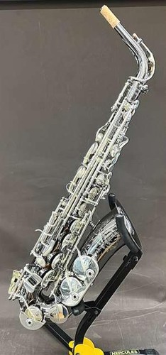 Cannonball Ascep-Bs Alto Sax Safe delivery from Japan | eBay